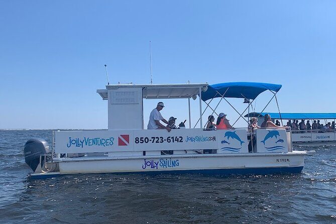 2 Hour Private Dolphin Cruise & Bay Tour - An In-Depth Look at the Experience