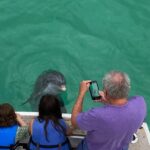 2 Hour Private Dolphin Sightseeing Tour - Diving Into the Itinerary