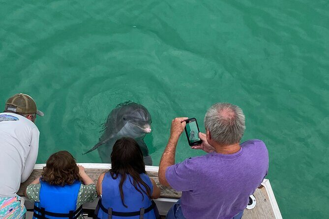 2 Hour Private Dolphin Sightseeing Tour - Diving Into the Itinerary