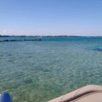 2-Hour Private Sightseeing Dolphin Tour in Panama City Beach - What to Expect: The Nuts and Bolts