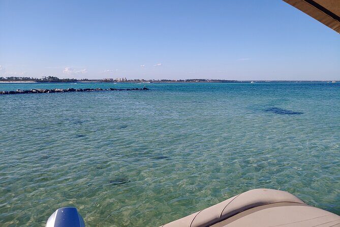 2-Hour Private Sightseeing Dolphin Tour in Panama City Beach - What to Expect: The Nuts and Bolts