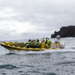 2 hour Round Trip in Vestmannaeyjar on a RIB Boat - Detailed Itinerary Breakdown