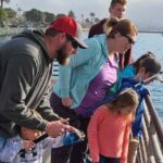 2-Hour San Diego Pier Fishing Experience - The Itinerary: From Meeting to Releasing