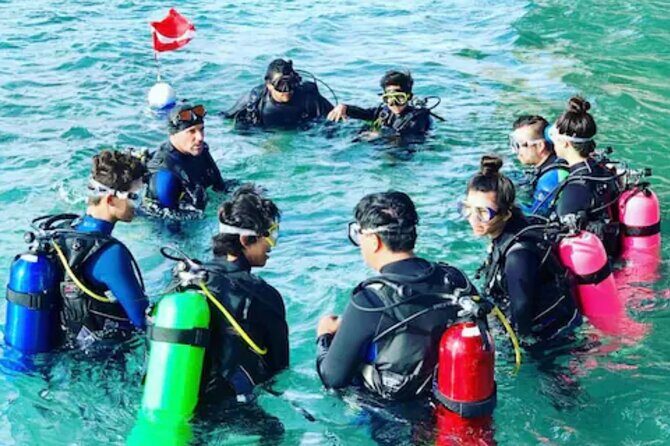 2-Hour Scuba Diving Experience for Beginners in Central Florida - Introduction to the Experience