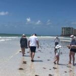 2-hour Shelling Boat Tour in the 10,000 Islands - What Guests Praise Most