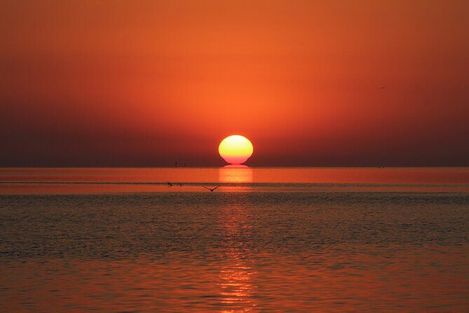 2 Hour Sunset Eco-Cruise - Who Will Love This Tour?