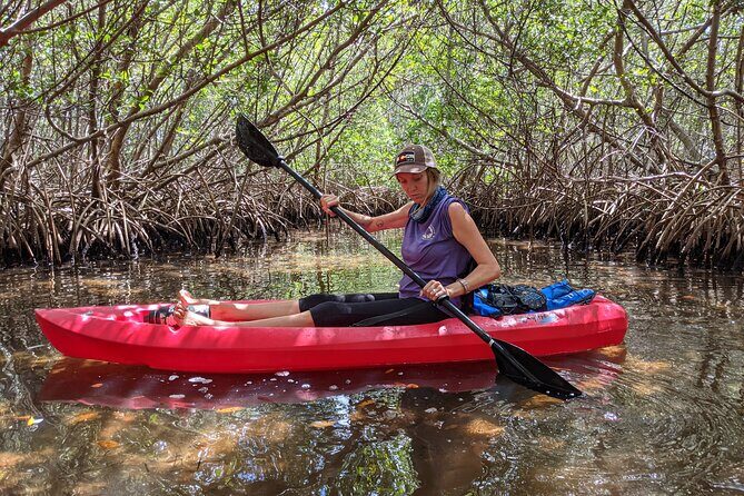 2 Hour Tandem Kayak Tour (Price for 2 People) - Who Should Book This Tour?