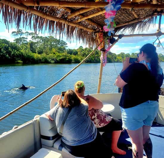 2 Hour Tiki Dolphin Sightseeing Tour in Cocoa Beach - The Itinerary and What You’ll Experience