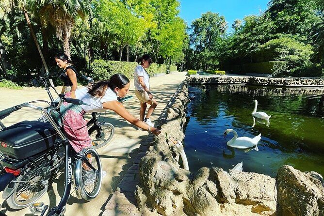 2 Hour Tour Discover Seville like a local on an ELECTRIC BIKE - The Ride and Group Dynamics