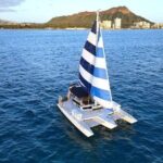 2 Hour Waikiki Whale Watching in Honolulu - Learning & Watching with Naturalists