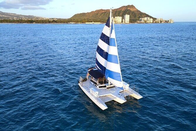 2 Hour Waikiki Whale Watching in Honolulu - Learning & Watching with Naturalists