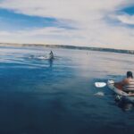 2 Hour Whale Watching Kayak Tour for Two - The Sum Up: A Unique and Authentic Way to Experience La Jolla’s Seas