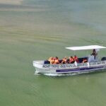 2 Hours Boat Tour Fishermen's Route in Ria Formosa - Authentic Experiences and Insights from Past Travelers