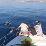 2 Hours Dolphin Watching in Marbella - Frequently Asked Questions