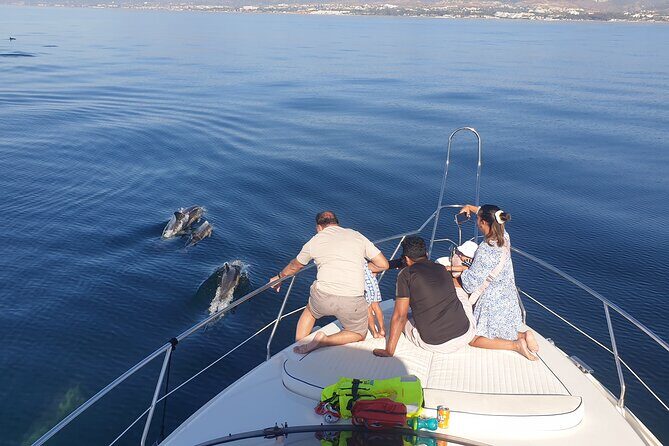 2 Hours Dolphin Watching in Marbella - Frequently Asked Questions