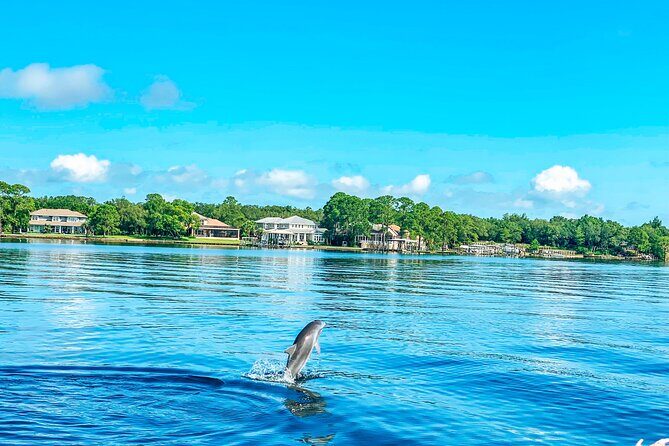 2 Hours Guided Dolphin Tour in Florida - Why Choose This Dolphin Tour?