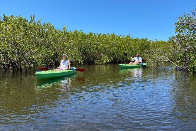 2 Hours Kayak Eco Tour in Tarpon Springs - An In-Depth Look at the Eco Kayak Experience