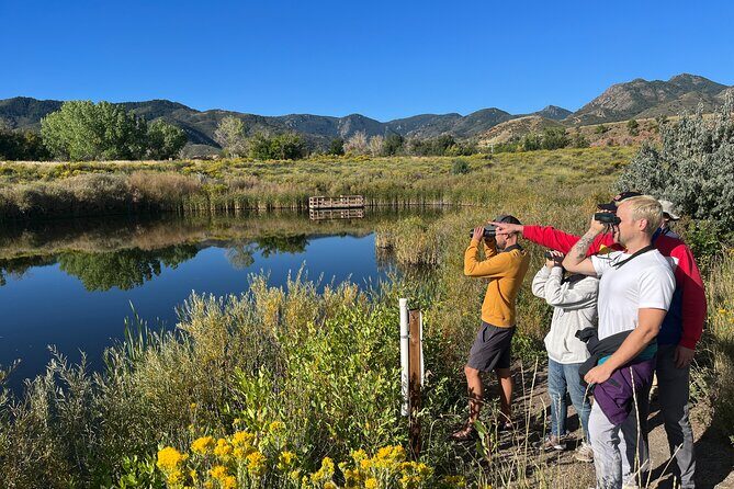 2 Hours of Mindful Bird Watching near Denver - Analyzing the Value and Cost