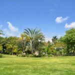 2 Hours Private Walking Tour in Miami Beach - Practical Details and Value Analysis