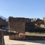2 Hours Walking Tour in Pompeii with an Archaeologist - Exploring Pompeii with an Archaeologist: What to Expect