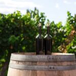 2 Hours Water to Wine Kayak Trip from Cottonwood - What Travelers Should Consider