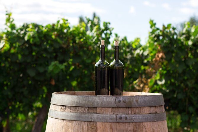 2 Hours Water to Wine Kayak Trip from Cottonwood - What Travelers Should Consider