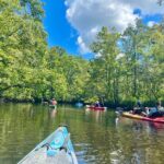 2-Hr Blackwater Kayak Tour just outside Charleston - Key Points