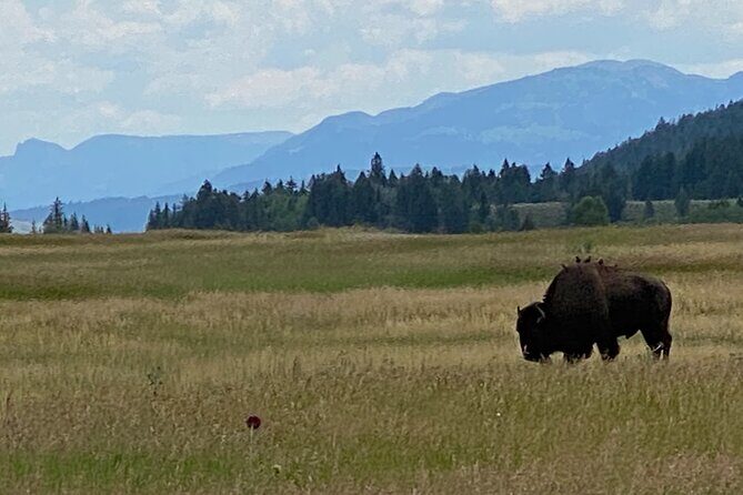 2-Person Grand Teton All-Day Private Tour - Stop 2: Grand Teton Lodge Company