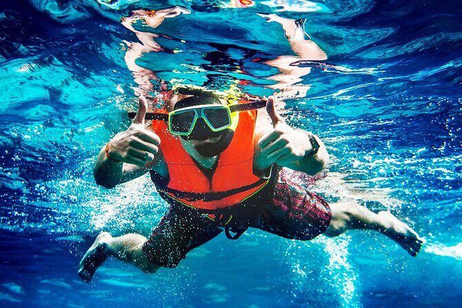 2-Stop Snorkeling and Dolphin Cruise from Destin - What You’ll Really Experience
