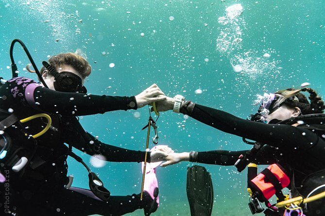 2 Tank Private SCUBA Party Diving Charter from Waikiki Hawaii - What’s Included and What to Bring