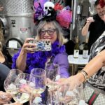 2 to 5 Guests Fredericksburg Private Mercedes SUV Wine Tour - The Practicalities and Value