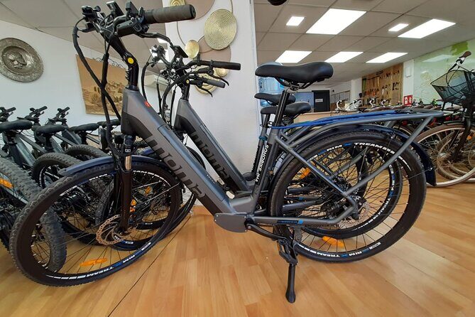 2h E-bike tours+1day extra in Malaga - Detailed Tour Breakdown