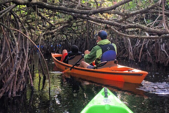 2Hour Everglades Kayak Safari Adventure Through Mangrove Tunnels - Who Will Love This Tour?