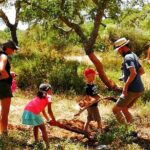 2hr Walk in a Cork Forest - A Detailed Look at the Cork Forest Walk Experience