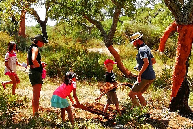 2hr Walk in a Cork Forest - A Detailed Look at the Cork Forest Walk Experience