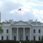 3-4 Hour Private DC Highlight Tour by Van - Transportation and Comfort