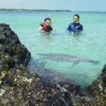 3.5 Hour Kailua-Kona Ocean Kayak and Snorkel Tour - Authentic Experiences Backed by Reviews