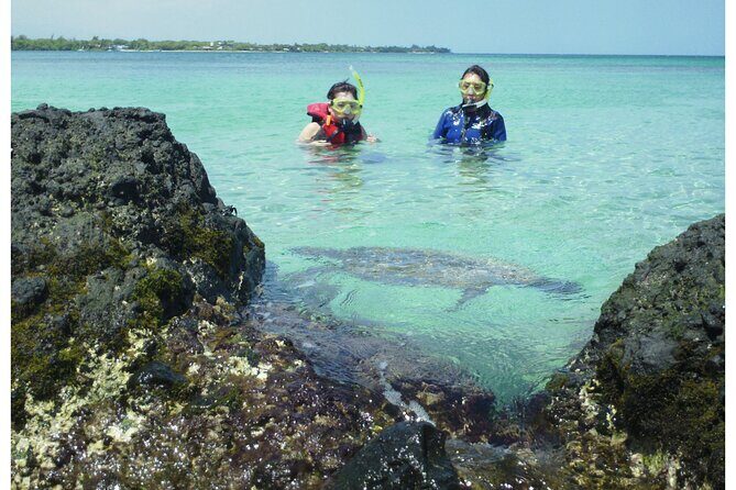 3.5 Hour Kailua-Kona Ocean Kayak and Snorkel Tour - Authentic Experiences Backed by Reviews