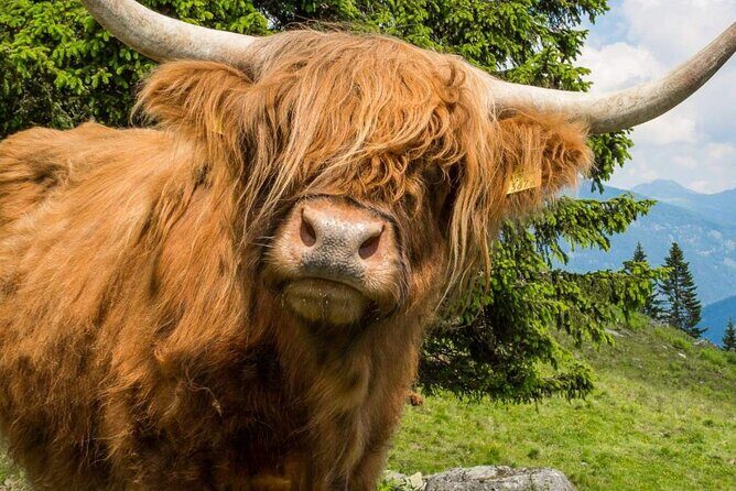 3 Day - Isle of Skye, Loch Ness & Glenfinnan Tour from Edinburgh - Who Should Consider This Tour?