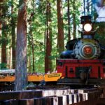 3 Day Tour to Oregon Redwood Crater Lake from San Francisco - Introduction: Authentic Views and Convenient Travel