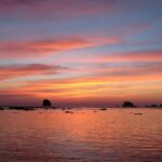 3 Days in Olympic National Park from Seattle: Silent Forest - Hoh Rainforest - Final Thoughts: Is This Tour for You?