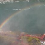3-Hour 30-Minute Private Guided Tour in Niagara Falls - Authentic Experiences and Traveler Insights