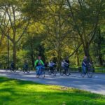 3 Hour Best of Manhattan Walking Tour and Cycle Central Park - The Value Proposition: What Sets This Tour Apart?
