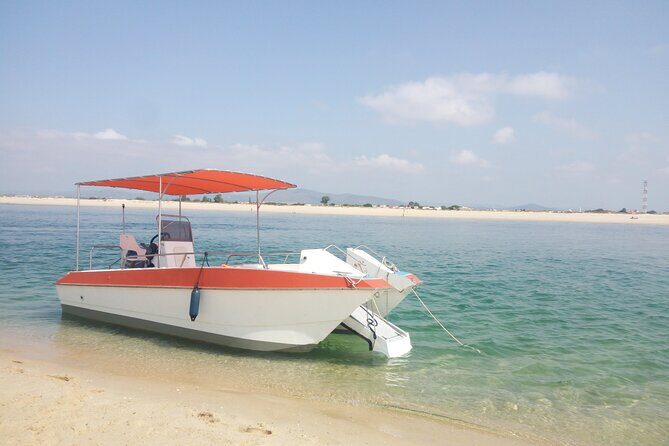 3 Hour Boat Tour in Ria Formosa - Authentic Experiences Based on Real Travelers’ Feedback