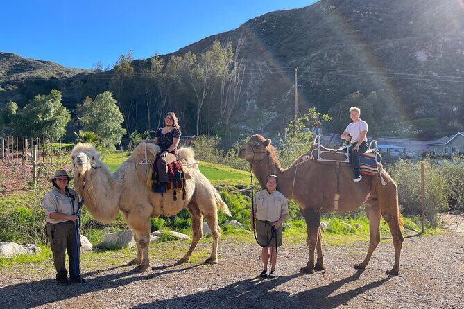 3 Hour Camel Trek into the Forest and Ranch in California - The Itinerary in Detail