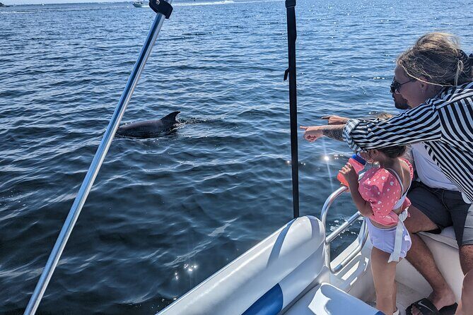 3 Hour Dolphin Private Guided Tour By A Marine Biologist - Discovering the 3 Hour Dolphin Private Guided Tour with a Marine Biologist in Destin