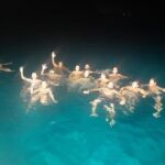 3-Hour Dolphin watching at sunset with aperitif - The Itinerary: How the Day Unfolds