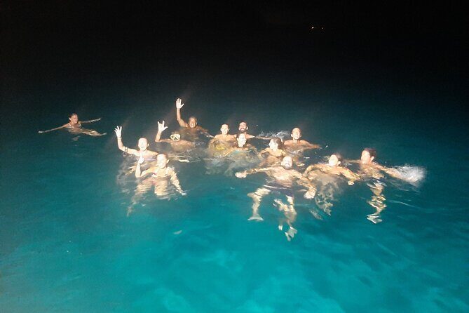 3-Hour Dolphin watching at sunset with aperitif - The Itinerary: How the Day Unfolds