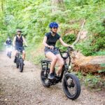 3-Hour E-Bike Sightseeing and Breweries Tour in Roanoke - Final Thoughts: Who Will Love This Tour?