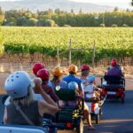 3 Hour Electric Trike Sunset Tour at Sonoma - The Rider Experience: What Youll Enjoy